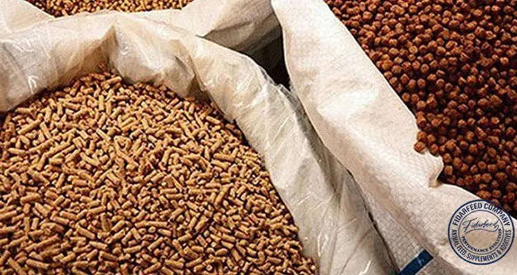 How to Spot Reliable Animal Feed Manufacturers - fidarfeed